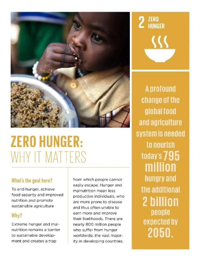 Zero Hunger - Educational Material - Αγγλικό - in action
