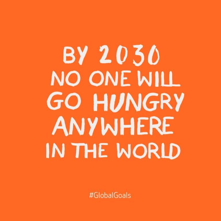 Zero Hunger - Educational Material - Αγγλικό - in action