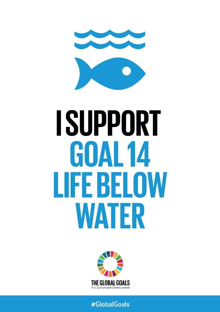 Ζωή στο νερό - Εκπαιδευτικό Υλικό - all - in action