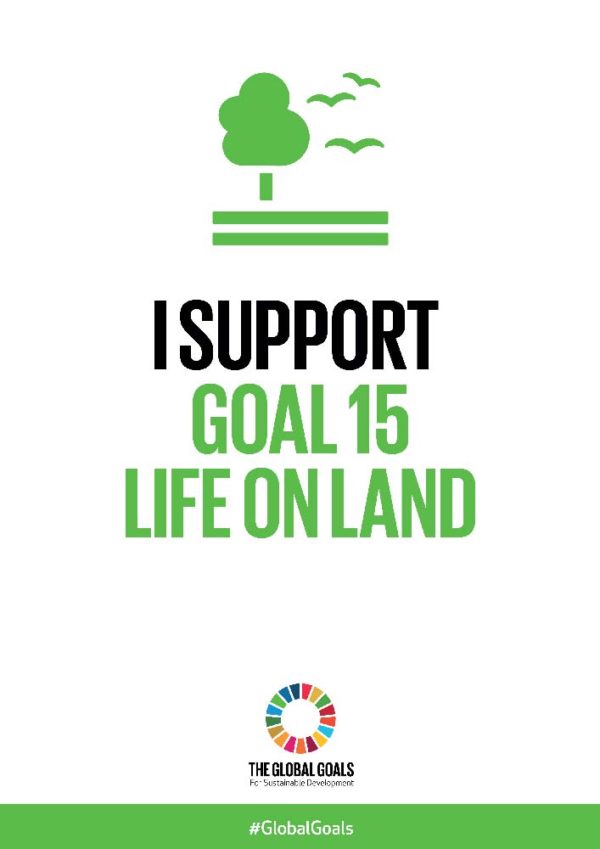 Ζωή στη στεριά - Εκπαιδευτικό Υλικό - All - in action