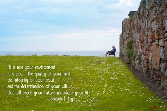 Life on land - Educational Material - all - in action